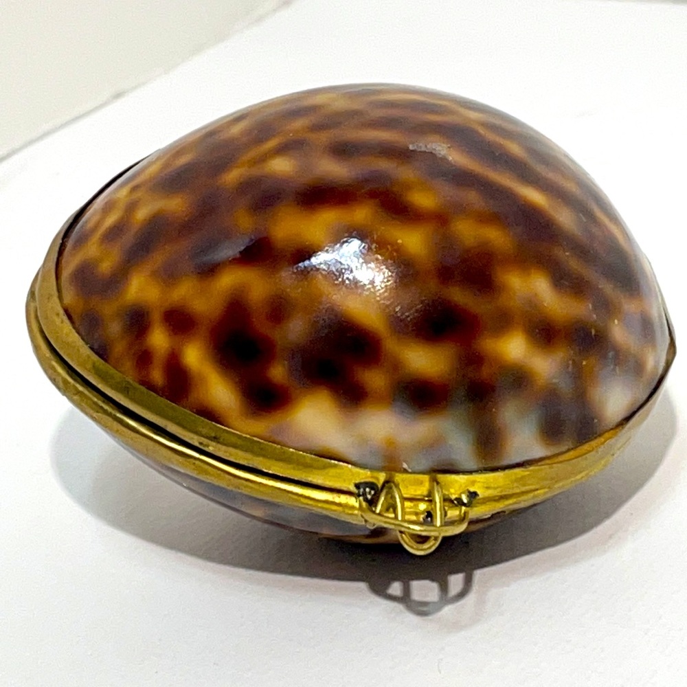 Vintage Tiger Cowry Hinged Sea Shell Trinket/Jewelry/… - Gem
